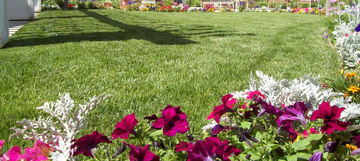 Real Estate Private Equity Firm - Seniors Housing Business | Capitol ...